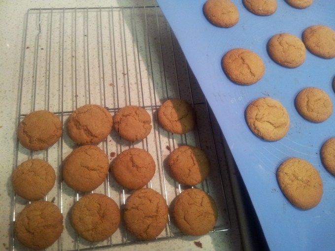 Yorkshire Gingernut Biscuits from Mary Berry – A Tale of Two Kitchens